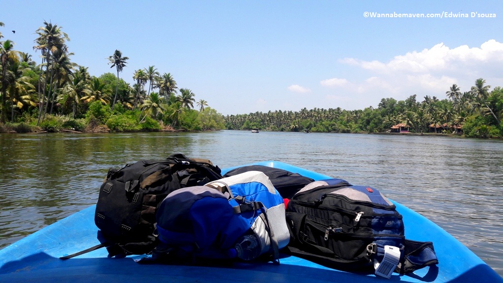Six amazing travel activities for families in India ~ Wannabemaven